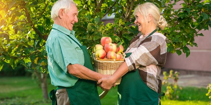 Over 70 Dating Guide - Tips for Senior Love Online